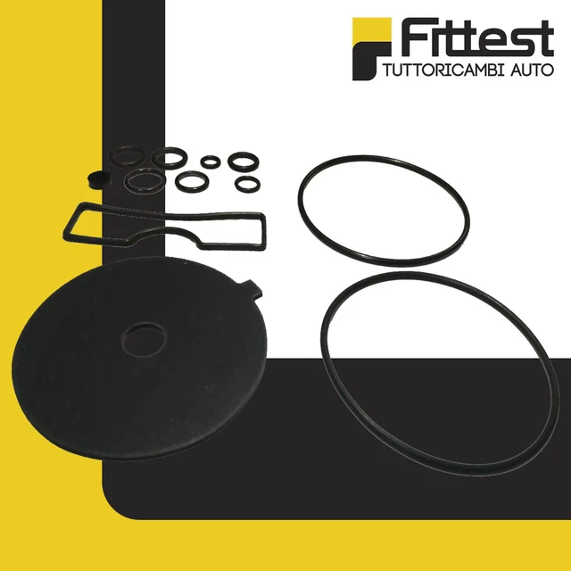 KIT BUSTA REVISIONE Polmone GPL Impianto BRC Genius MB 1500 1200 800 mb ...