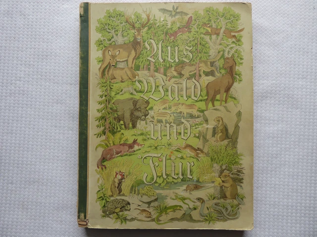 AUS WALD UND Flur Tiere unserer Heimat Sammelbilderalbum 1938 EUR 7,00 ...