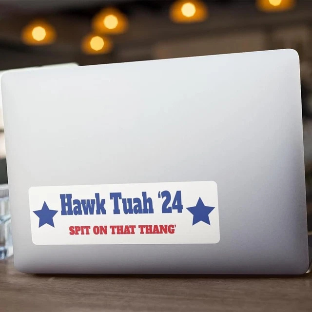 FUNNY HAWK TUAH 2024 Vinyl Viral Girl Meme Sticker for Window Laptop ...