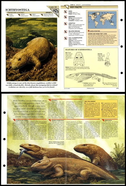 ICHTHYOSTEGA #16 EXTINCT Wildlife Fact File Fold-Out Card £1.99 ...