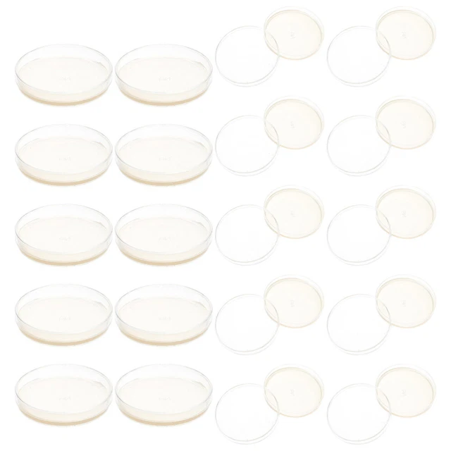 LAB SUPPLIES: NUTRIENT Agar Plates for Tissue Culture Experiment-GX £23 ...