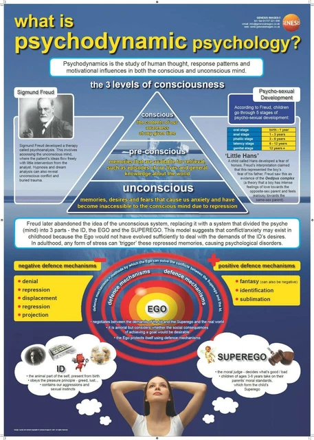 WHAT IS PSYCHODYNAMIC Psychology? Large Wall Chart £12.95 - PicClick UK