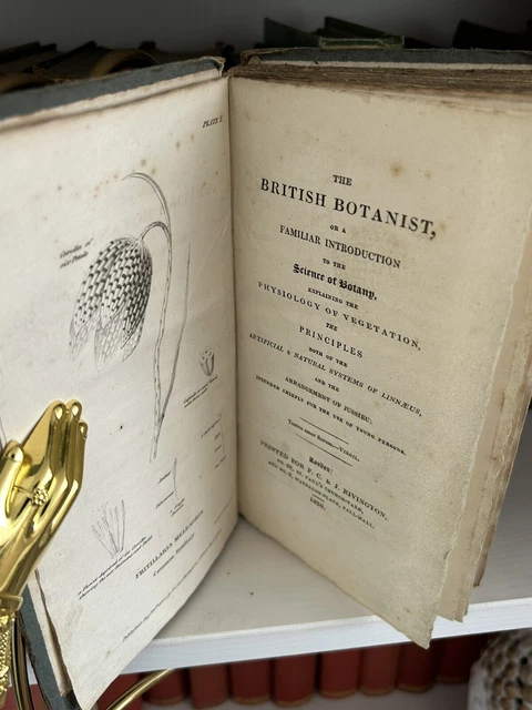 ANTIQUE THE BRITISH Botanist First Edition 1820 Clarke Stephen £31.92 ...
