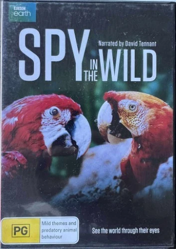 DVD SPY IN The Wild DAVID TENNANT $19.95 - PicClick AU
