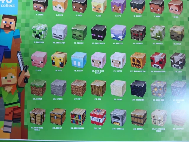 WOOLWORTHS BIG W 2025 Minecraft Cubeez Empty Collector Display Case ...