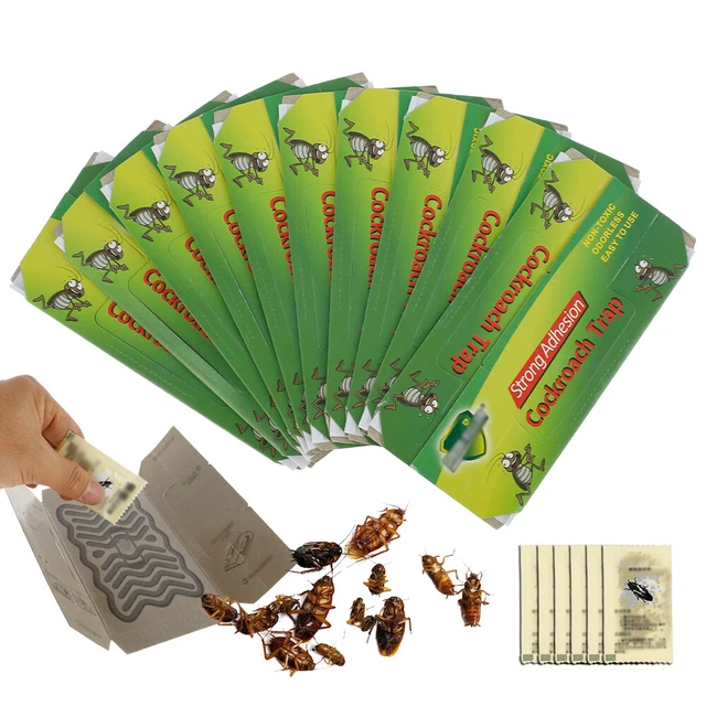 10PC COCKROACH TRAP Bait Sticky Traps Glue Cockroaches Insect Bug Pest ...