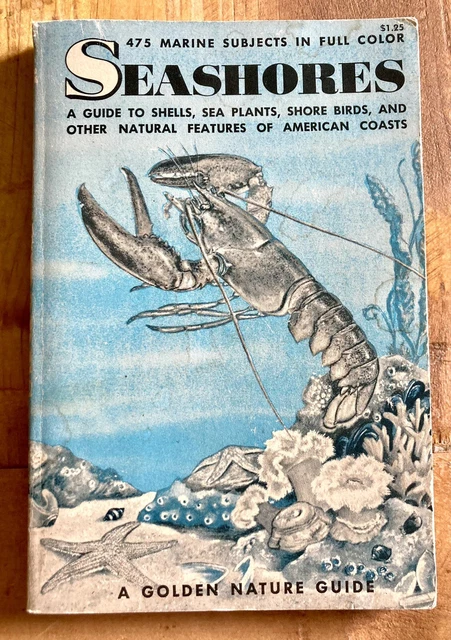 SEASHORES: A GOLDEN Nature Guide 1955 Vintage Illustrated Paperback ...