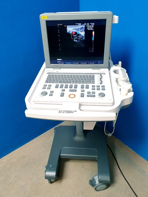 SAMSUNG MEDISON SONOACE R3 + CN2-8 + LN5-12/40 + Konvex + Linear ...