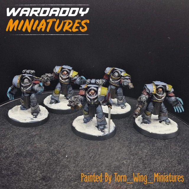 PRO PAINTED WARHAMMER 40k Space Wolves Cataphractii Terminators ×5 TW1 ...