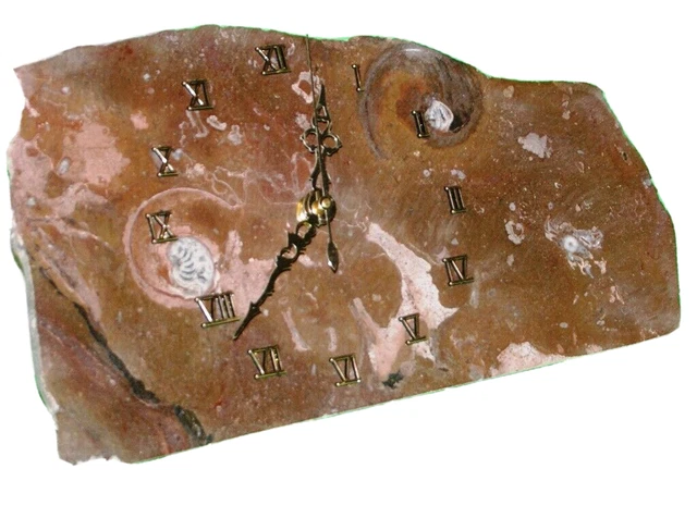 PENDULE - HORLOGE FOSSILES AMMONITES GONIATITES véritable H. 21 cm X 25 ...