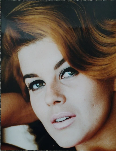 RARE VINTAGE 8X10 BW Photo ANN-MARGRET Stunning Sexy Swedish Actress ...