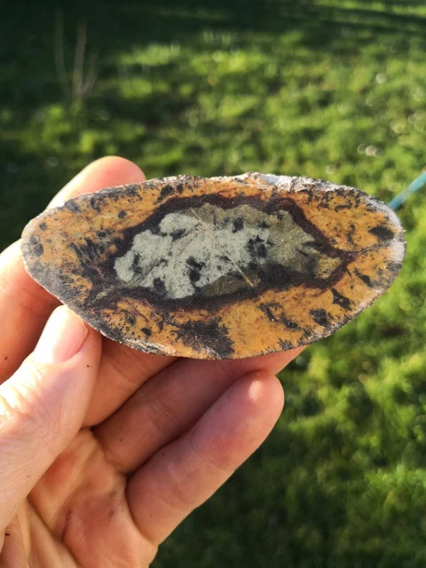 GREENSTONE POUNAMU NZ Nelson Nephrite Jade mixed mineral Slab lapidary ...