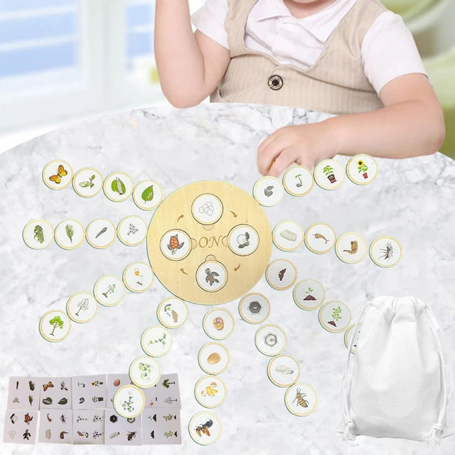 LIFE GROWTH CYCLE Puzzle Brett Lehrmaterial Lebenszyklus Puzzle für EUR ...