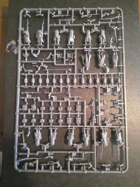 NAPOLEONIC OLD GUARD Chasseurs 15 figs on sprue Victrix 28mm plastic ...