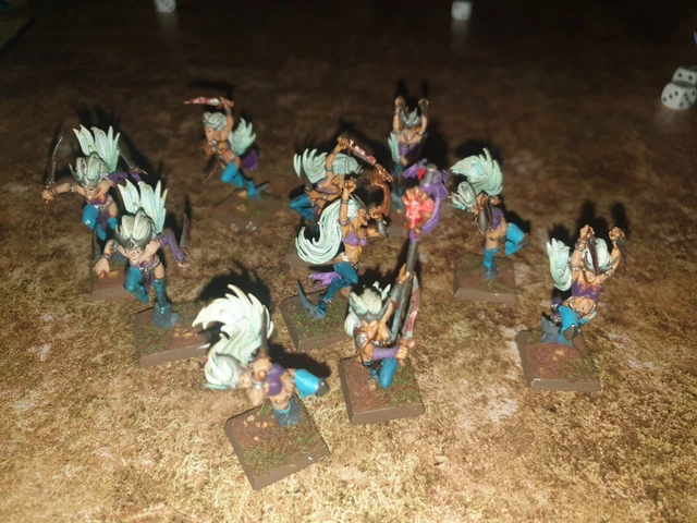 10 FURIES ELFES Noirs Plastique Peintes Warhammer Aos EUR 30,00 ...