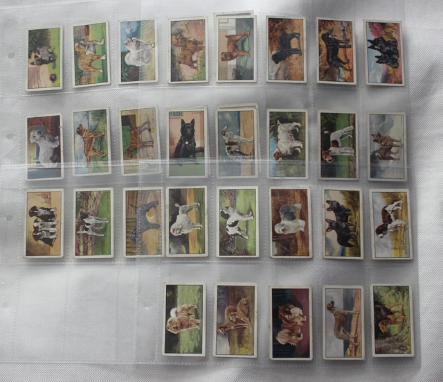 CIGARETTE CARDS GALLAGHER DOGS 2nd Series 1936 £2.00 - PicClick UK