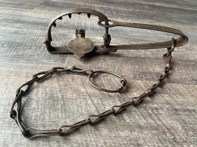 NEWHOUSE 2 1/2 trap with TEETH, flat chain and ring. UNCLEANED $45.00 ...