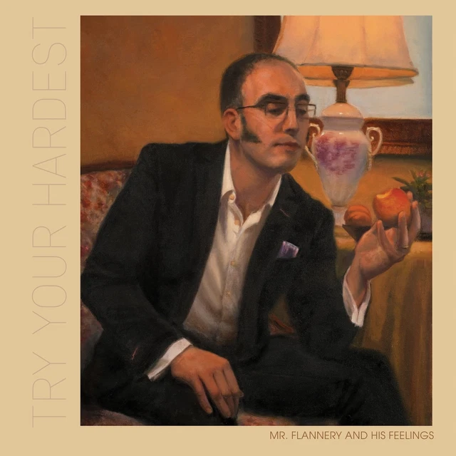 MR. FLANNERY AND His Feelings Try Your Hardest (CD) EUR 18,15 - PicClick FR