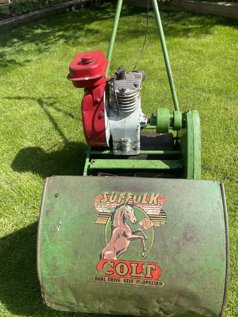 Suffolk Colt Lawnmower FOR SALE! - PicClick UK