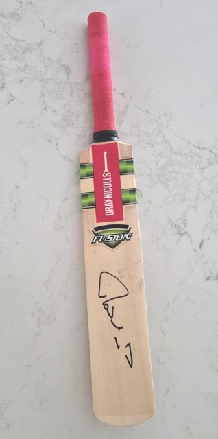 MATTHEW HAYDEN SIGNED Grey Nicolls Mini Cricket Bat Australian Legend ...
