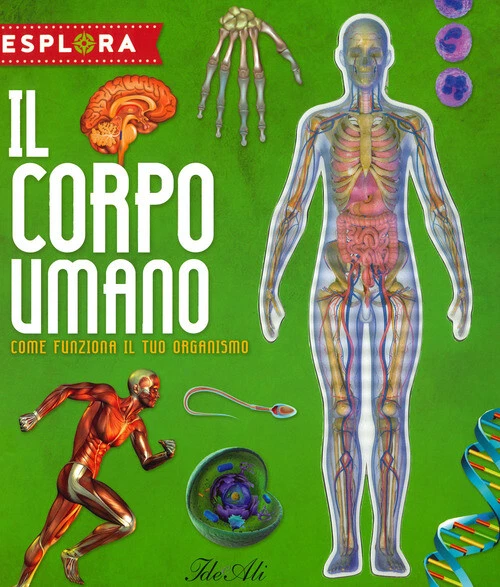 CORPO UMANO. COME Funziona Il Tuo Organismo. Esplora. Ediz. A Spirale ...