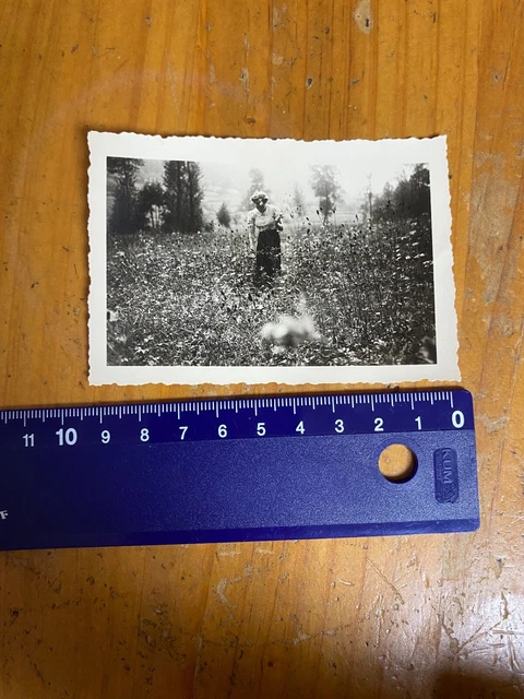 Foto 2 Wk Bdm Hübsche Dame Mädchen Frau Militaria Nachlass Ww2 Photo Fb