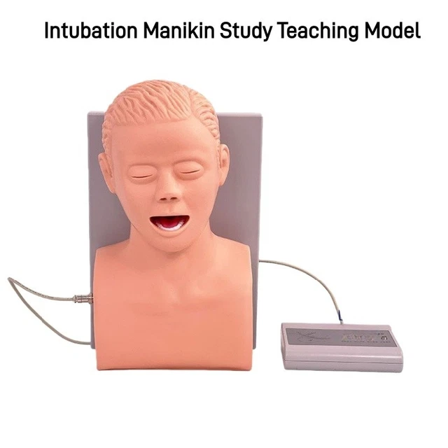 INTUBATION MANIKIN STUDY Teaching Model Airway Management Trainer W ...