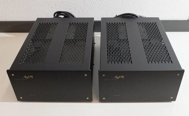 2 X AVM Evolution M3 Monoblock Endstufe Highend / 1 Hand / TOP EUR 999 ...