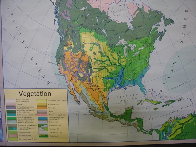 SCHOOL WALL MAP North America Map a/C Vegetation 1981 210x169cm $35.55 ...