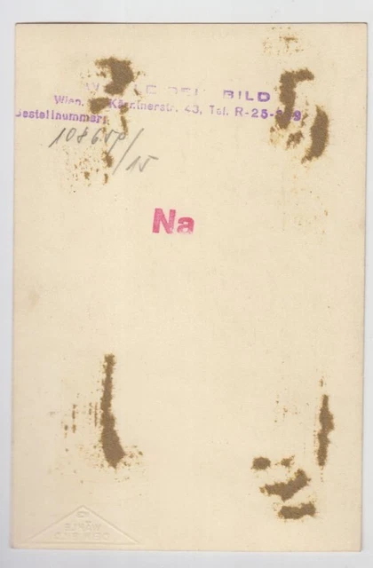 FOTO 2WK PORTRAIT Flak Soldat Wien Österreich Uniform Luftwaffe ...