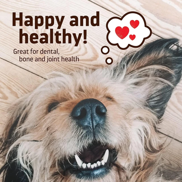 PET - REGULAR Jumbo Bully Sticks, 4 Pack, Extra-Thick Dog Treats ...