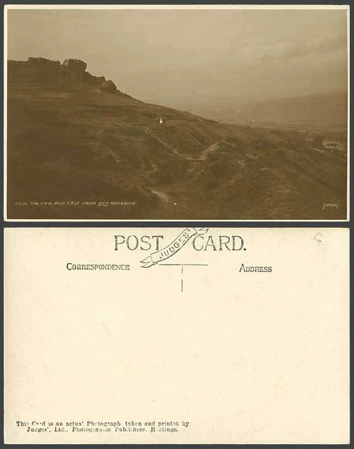 YORKSHIRE THE COW and Calf Rocks from Ben Rhydding Old R.P. Postcard ...