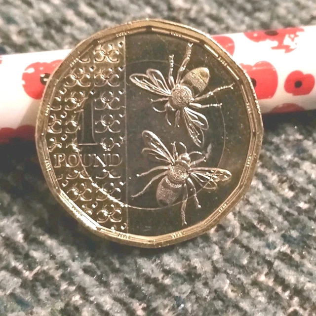 2025 KING CHARLES III Bee Design £1 coin. Brand new! £6.49 - PicClick UK
