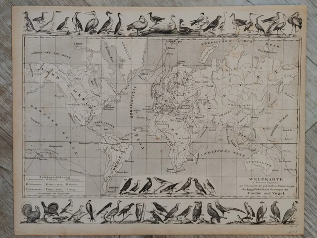 ORIGINAL ANTIKE LANDKARTE Stich, Weltkarte, Monde, World map, Fische ...