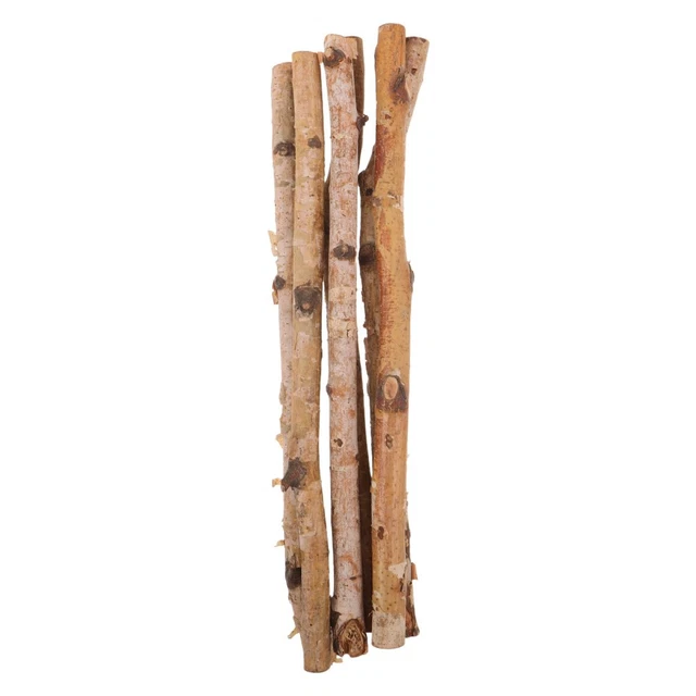 6PCS BRANCHES DRIED Wood Sticks: Flower Arrangement Insert - Wedding ...