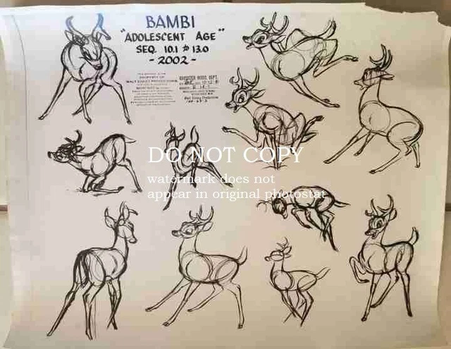 ORIGINAL DISNEY PHOTOSTAT Model Sheet - Bambi as Adolescent 1940 - Rare ...