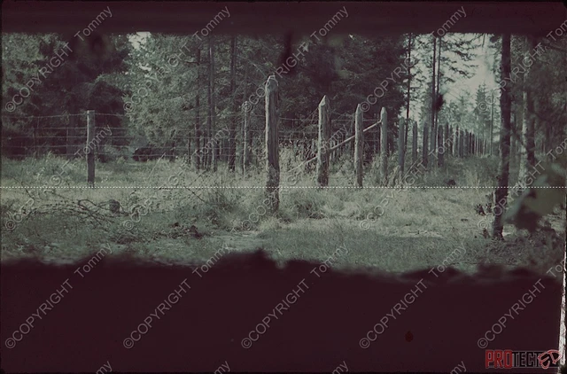 ++ ORIGINAL FARBDIA Agfacolor Front Soldaten Ostfront Bunker bau ...