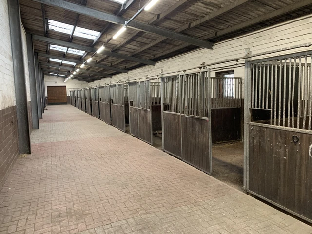 PFERDEBOX STALLELEMENT 1 Stall: Trennwand 250 cm, Front mit Türe 300 cm ...