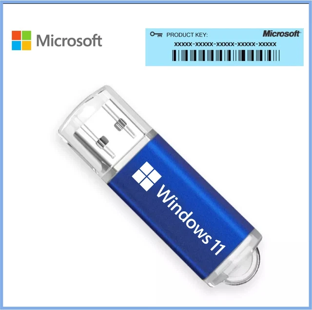 WINDOWS 11 PROFESSIONAL Installation USB Boot Stick + Install ...