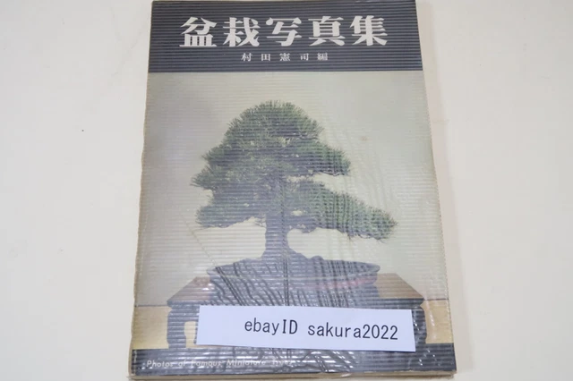 VINTAGE BONSAI PHOTO Collection Photos of Famous Miniature Trees Murata ...