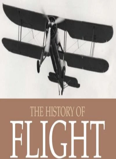 THE HISTORY OF Flight,David & Thomas Withington. Simons £2.86 - PicClick UK
