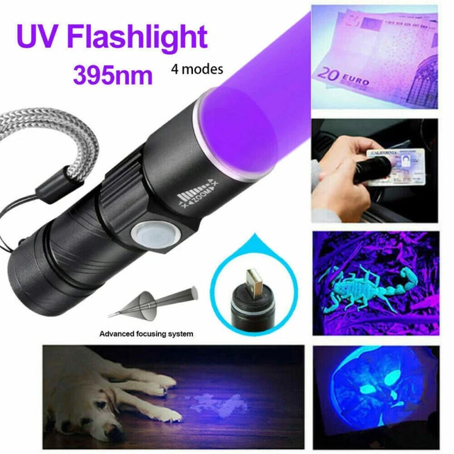 MINI UV ULTRAVIOLET Light Flashlight 365/395nm Torch Blacklight USB ...