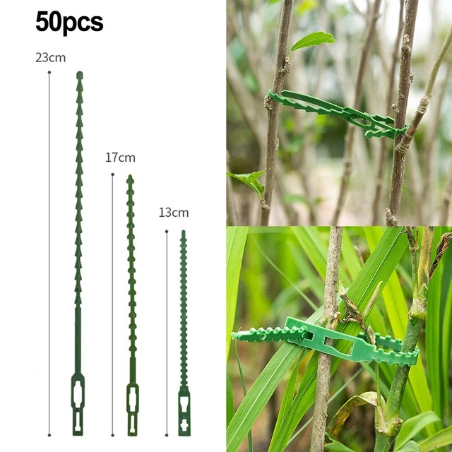 PLANT SUPPORT SAPLING Flower Adjustable Length Strong Toughness No ...