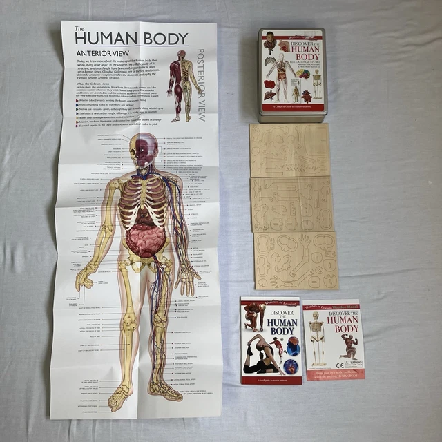 WONDERS OF LEARNING The Human Body - Discover The Human Body ...