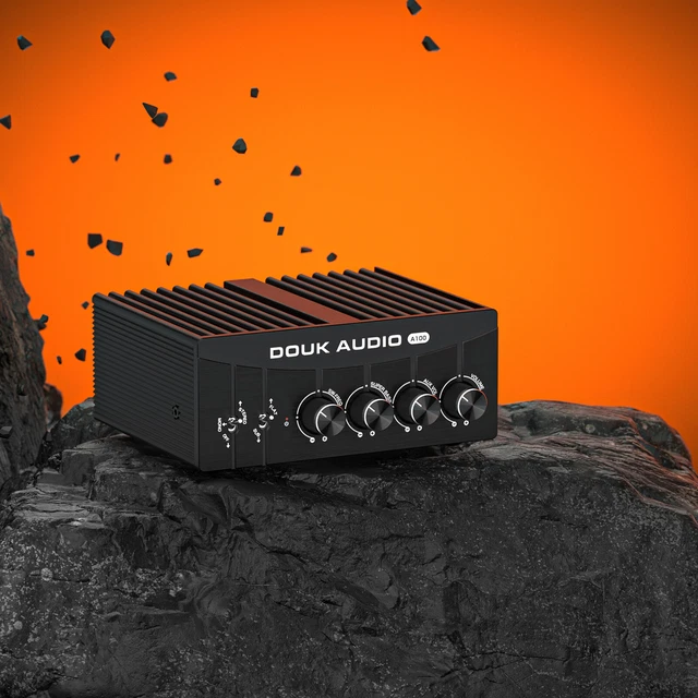 DOUK AUDIO A100 TPA3255 Digitalverstärker mit 48V-Netzteil Mono ...
