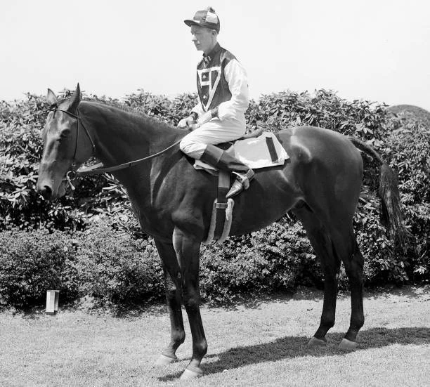 SEABISCUIT WITH JOCKEY Red Pollard at Belmont Park New York Old Photo ...