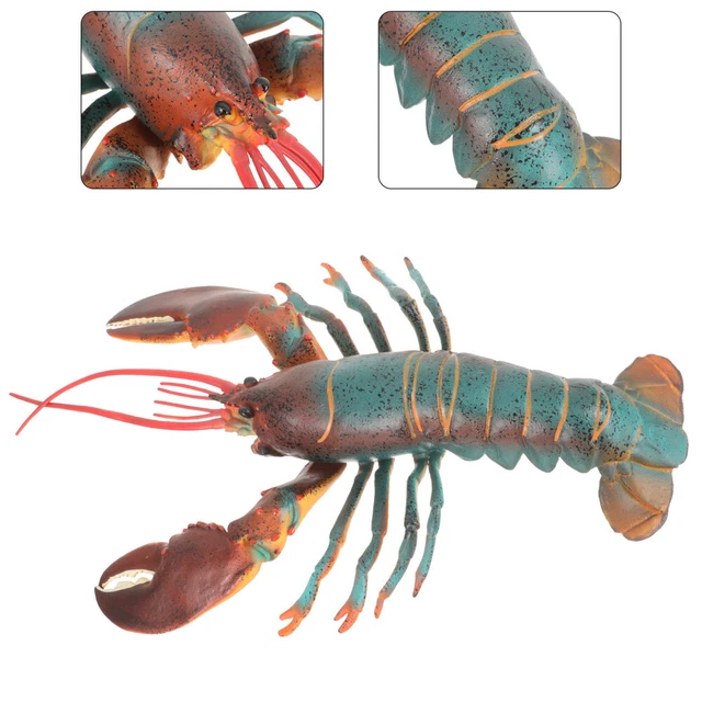 JOUET MODÈLE DE Homard Ornement Animal Simulé Réaliste Décor Enfant ...