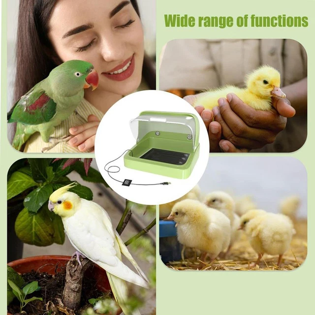 BABY CHICK BROODER Brooding Box for Parrots Chickens Ducklings V8T66124 ...