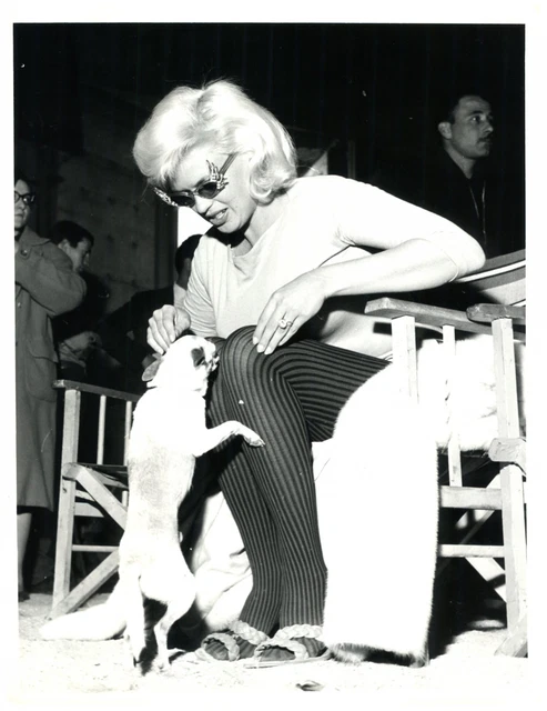 JAYNE MANSFIELD VINTAGE silver , Jayne Mansfield (19 avril 1933 – 29 ...