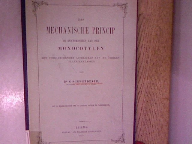 DAS MECHANISCHE PRINCIP im anatomischen Bau der Monocotylen. Mit ...